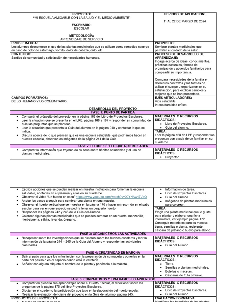 PROYECTO MI ESCUELA AMIGABLE CON LA SALUD Y EL MEDIO AMBIENTE | PDF