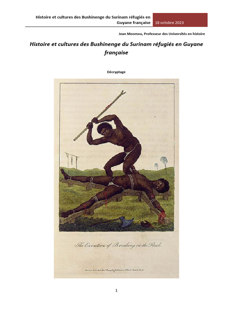 Histoire des Bushinengés en Guyane | PDF
