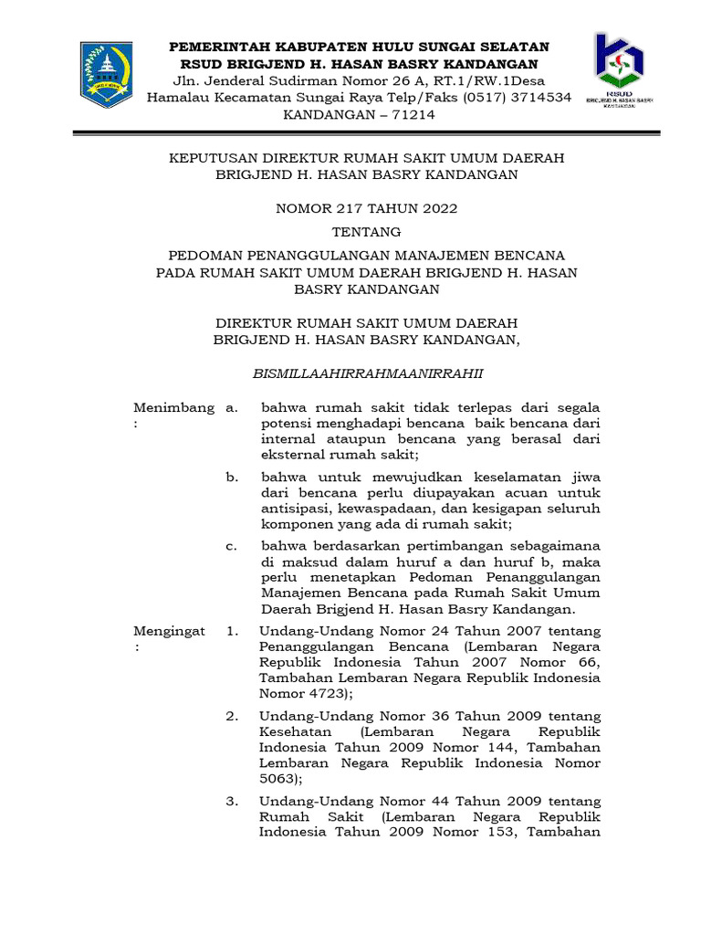 PEDOMAN HDP RS Hasan Basri Kandangan2022 | PDF