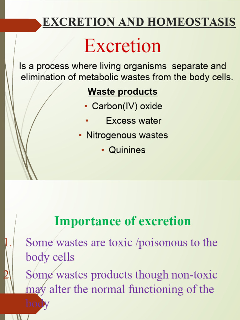 bio notes excretion and homeostasis | PDF | Kidney | Skin