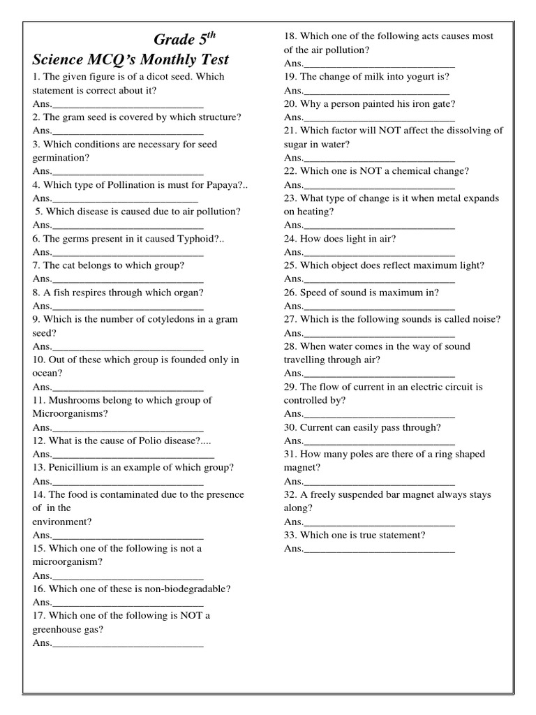 5th Grade Science MCQ Test | PDF | Seed