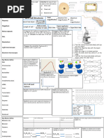 Kcse 2024 Bio Pp1 Ms - Code 01 | PDF | Cellular Respiration | Flowers