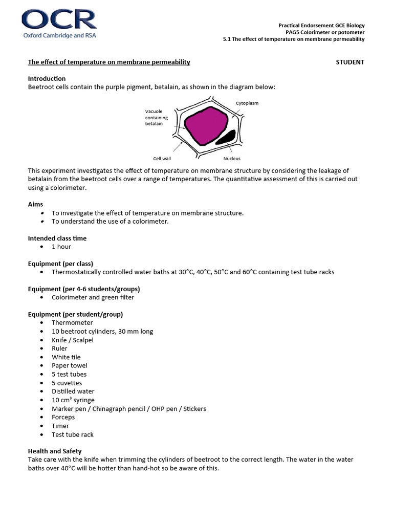 Beetroot Membrane Permeability Experiment | PDF | Temperature | Cell ...