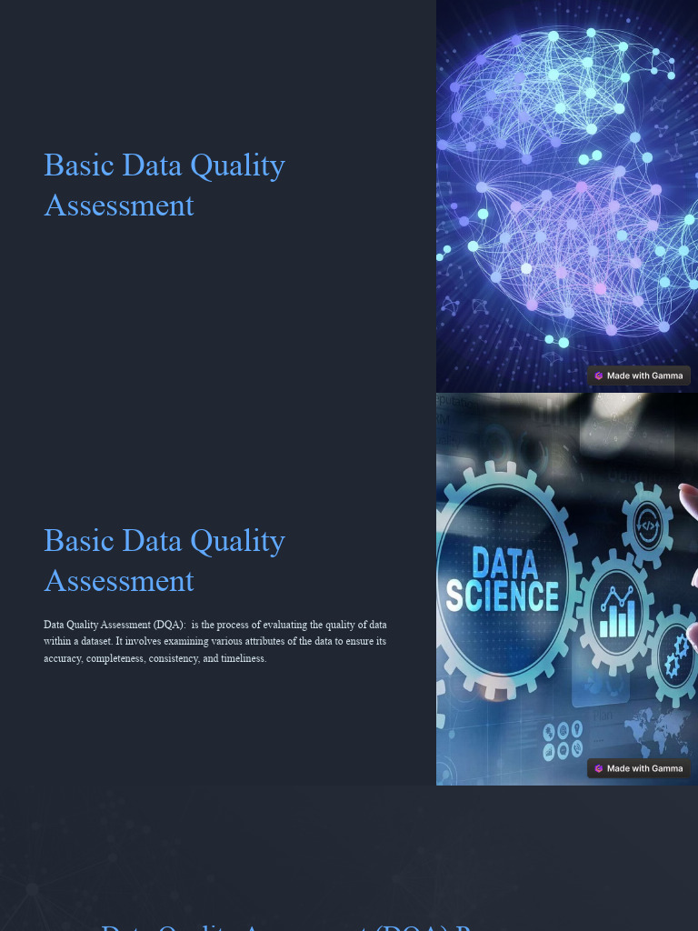 Basic Data Quality Assessment | PDF | Data Quality | Accuracy And Precision
