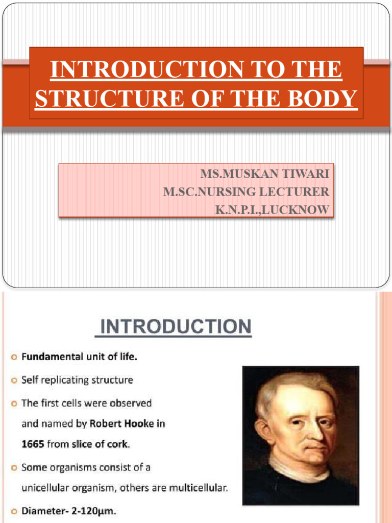 Body Structure Overview by Muskan Tiwari | PDF | Religion & Spirituality