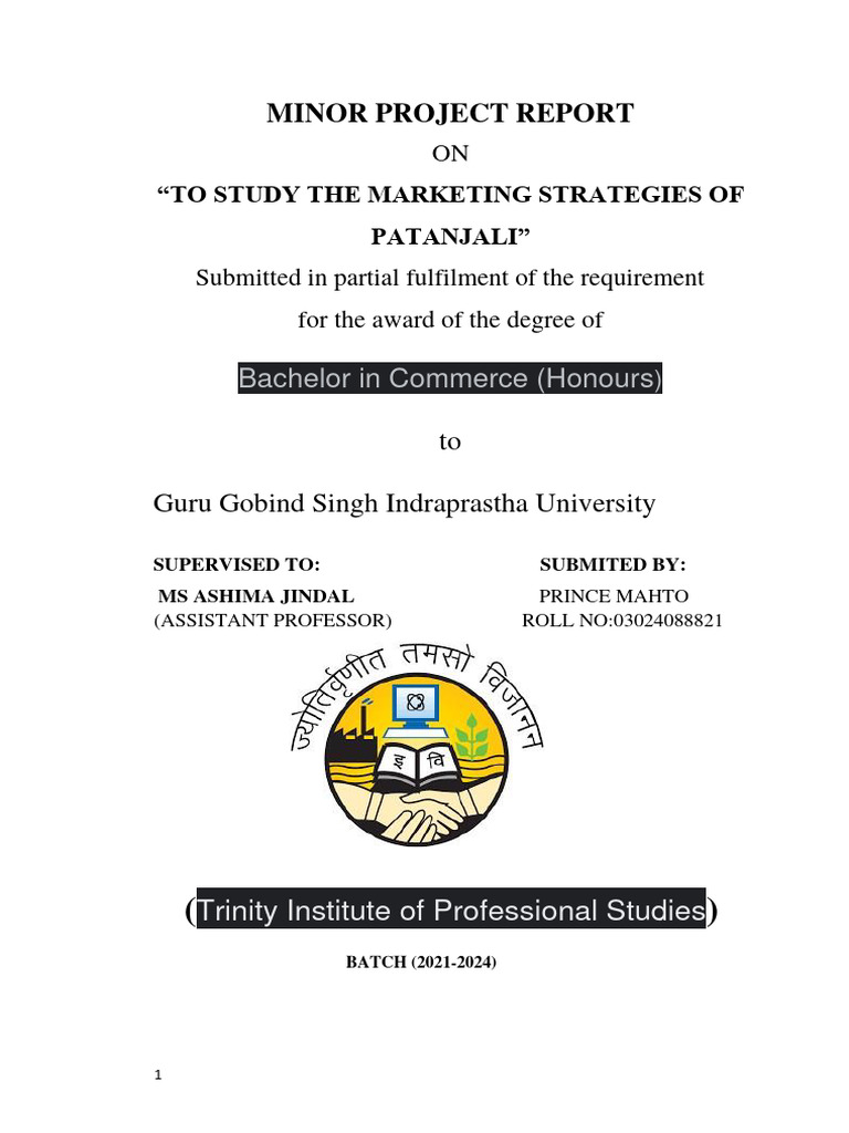 Prince Mahto Minor Project | PDF