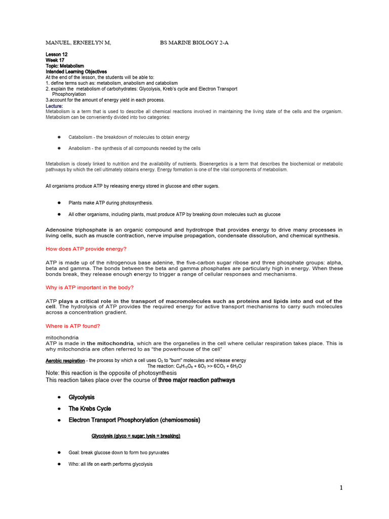 Metabolism 1 | PDF | Adenosine Triphosphate | Cellular Respiration