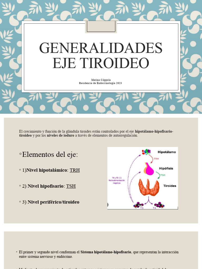 Generalidades Eje Tiroideo | PDF | Hormona estimulante de la tiroides | Tiroides