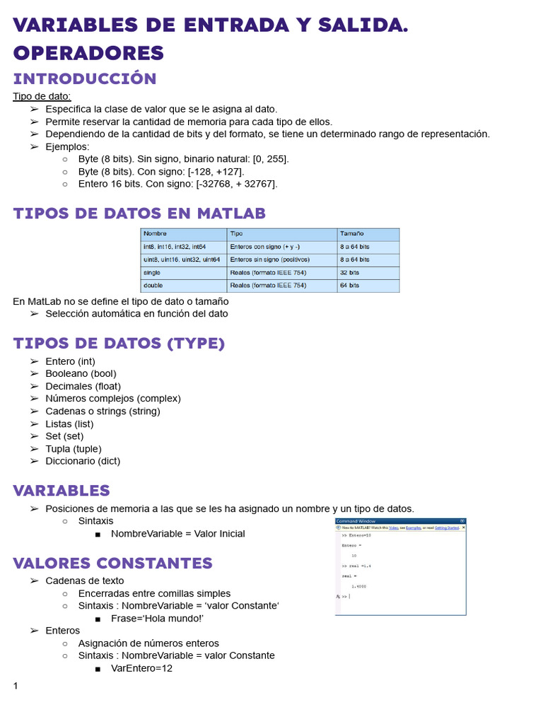 Variables de Entrada y Salida | PDF | Tipo de datos | Poco