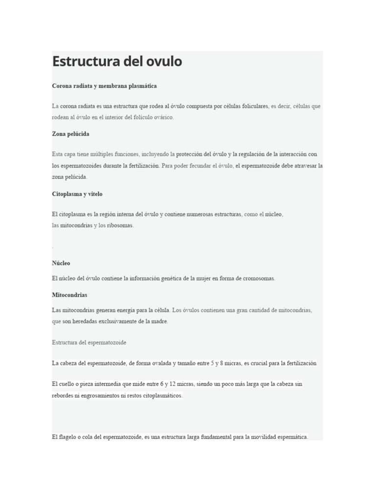 Estructura y Función del Óvulo y Espermatozoide | PDF