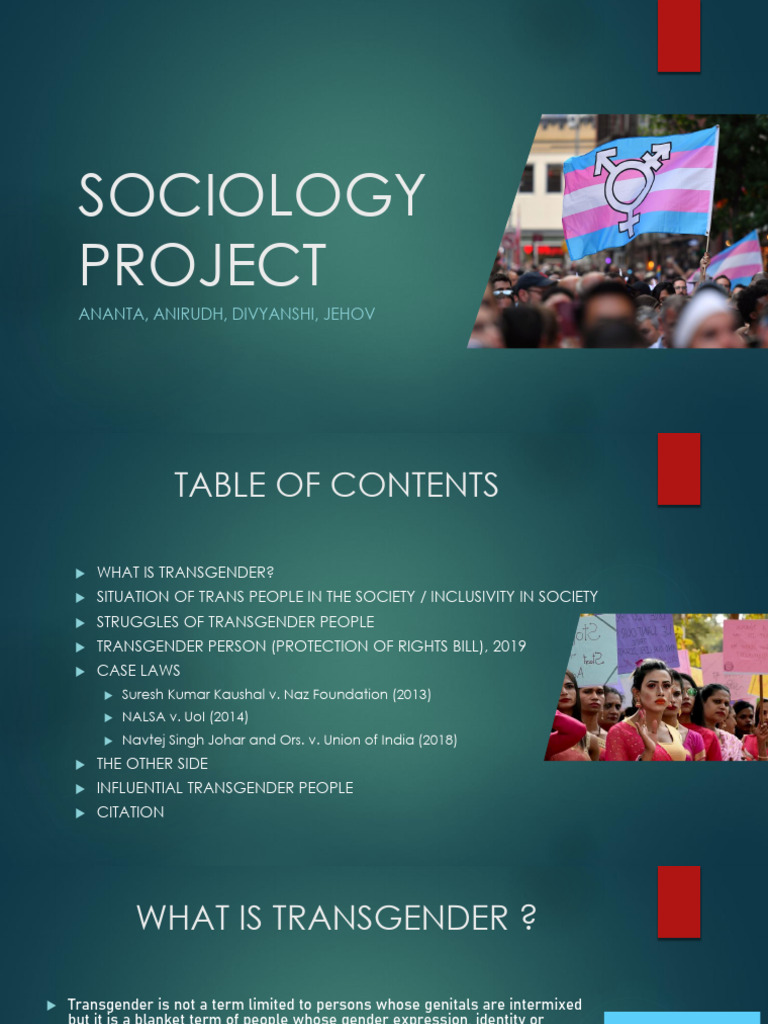 Sociology Project PDF - Ananta, Anirudh, Divyanshi, Jehov | PDF ...