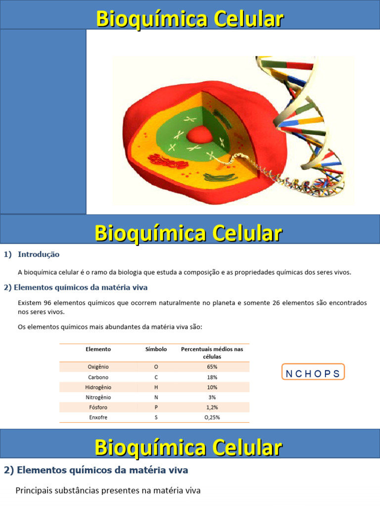 Bioquímica Celular I | PDF | Lipídio | Proteínas