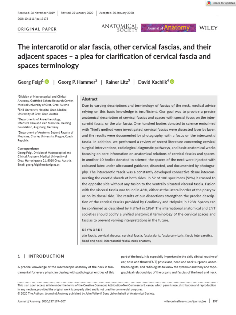 Journal of Anatomy - 2020 - Feigl - The Intercarotid or Alar Fascia ...