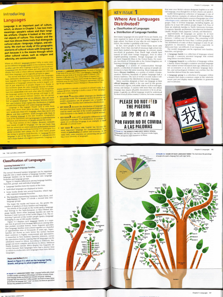 Unit 2 - Chapter 5 - Key Issues 1 & 4 | Download Free PDF | Madagascar | English Language