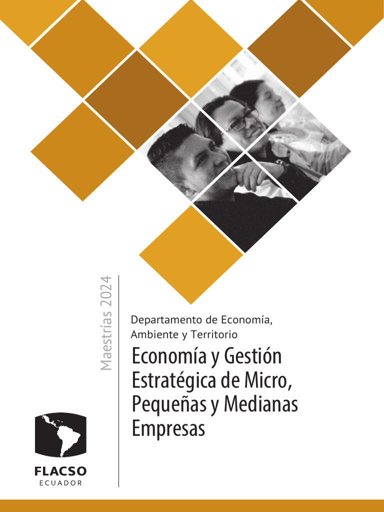 Economia MIPYMES 2024 Final 2 | PDF | Pequeñas y medianas empresas | Iniciativa empresarial