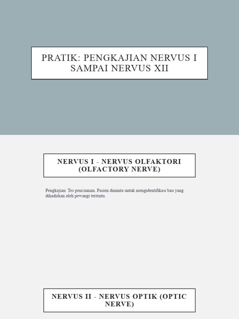 Pengkajian 12 Nervus Cranialis | PDF | Kajian Bahasa Asing | Kesehatan ...