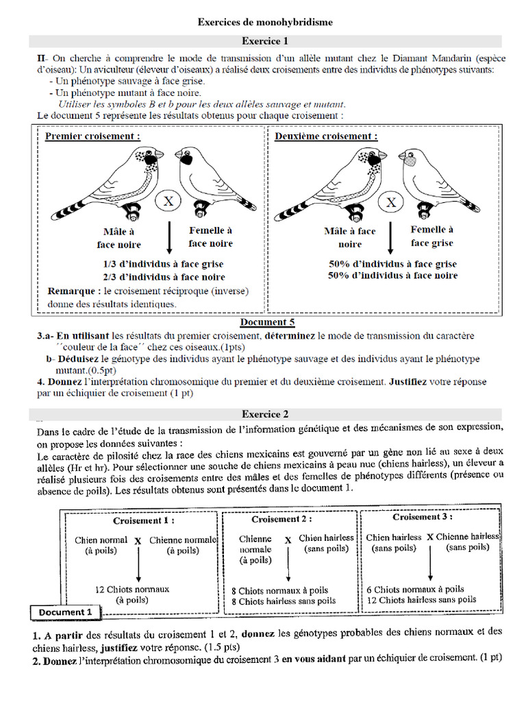 Exercices de Monohybridisme | PDF