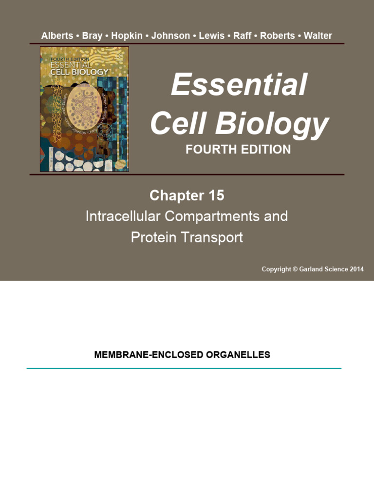 Ch15 2018 | PDF | Cell (Biology) | Protein Targeting