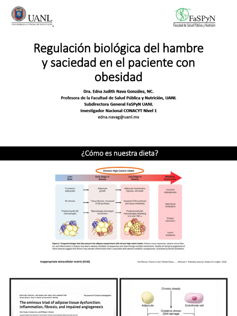 Regulación de Hambre y Saciedad Edna Nava | PDF | Alimentos | Dieta