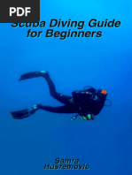 IADRS Annual Watermanship Test Overview | PDF | Underwater Diving ...
