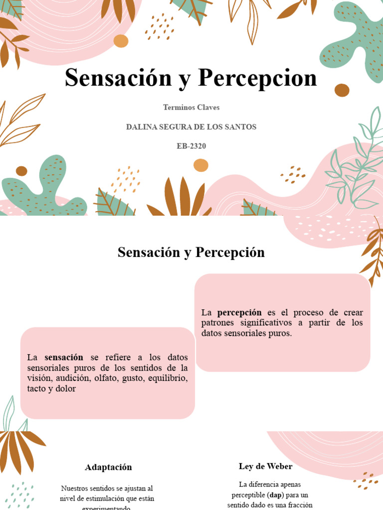 sENSACIÓN Y pERCEPCIÓN | PDF | Percepción visual | Sentidos