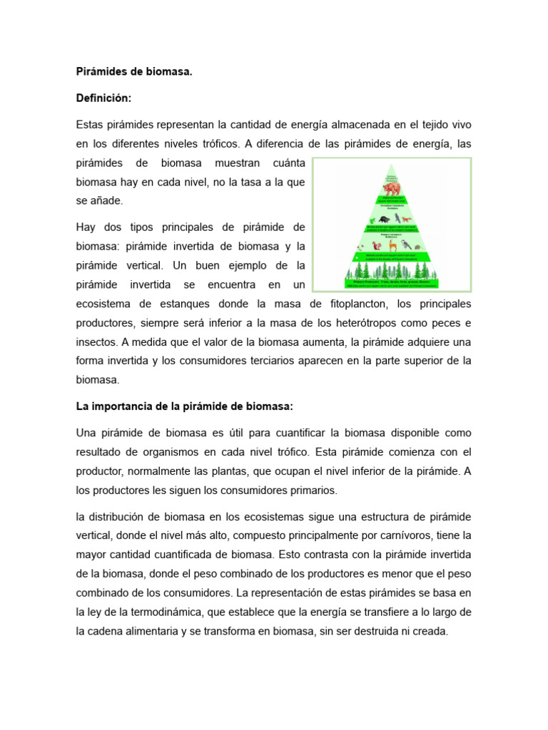 Pirámides de biomasa: definición y ejemplos | PDF | Biomasa (Ecología ...