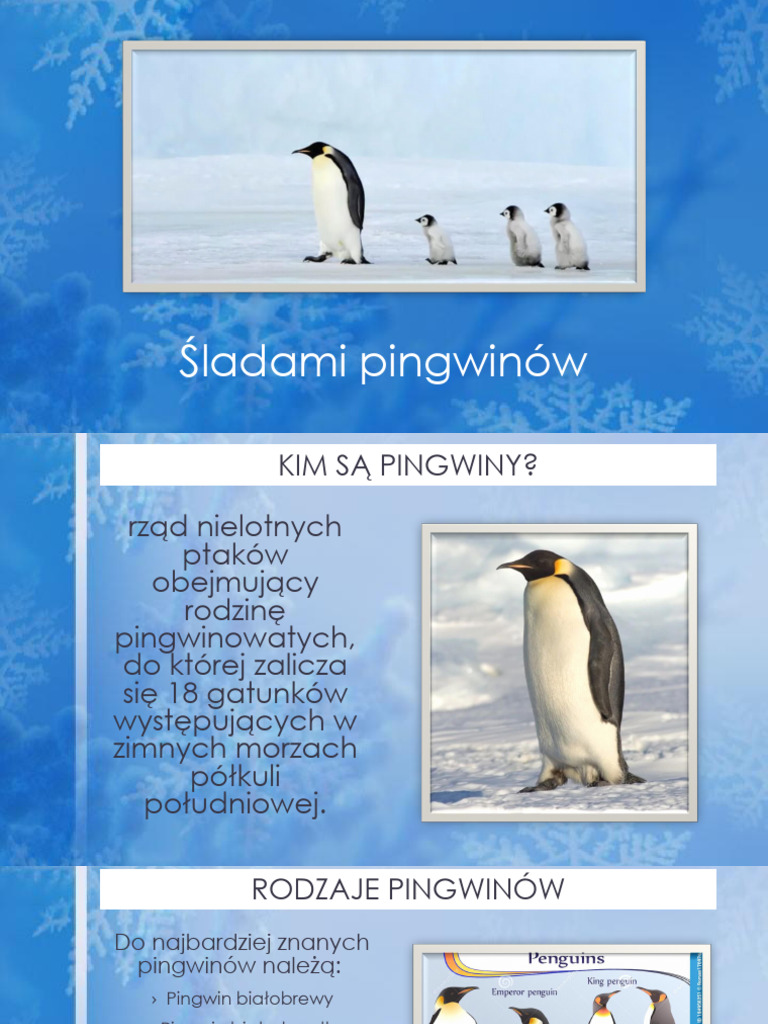 Śladami pingwinów | PDF