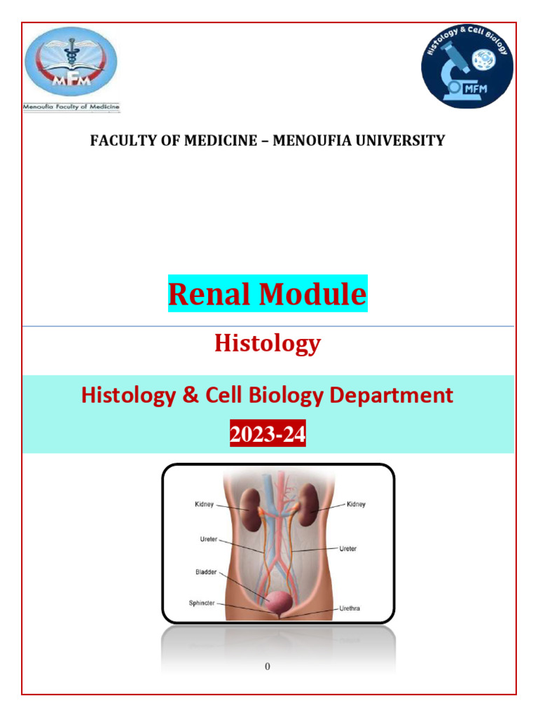 Renal Module Histology 2023-24 | PDF | Kidney | Urinary System