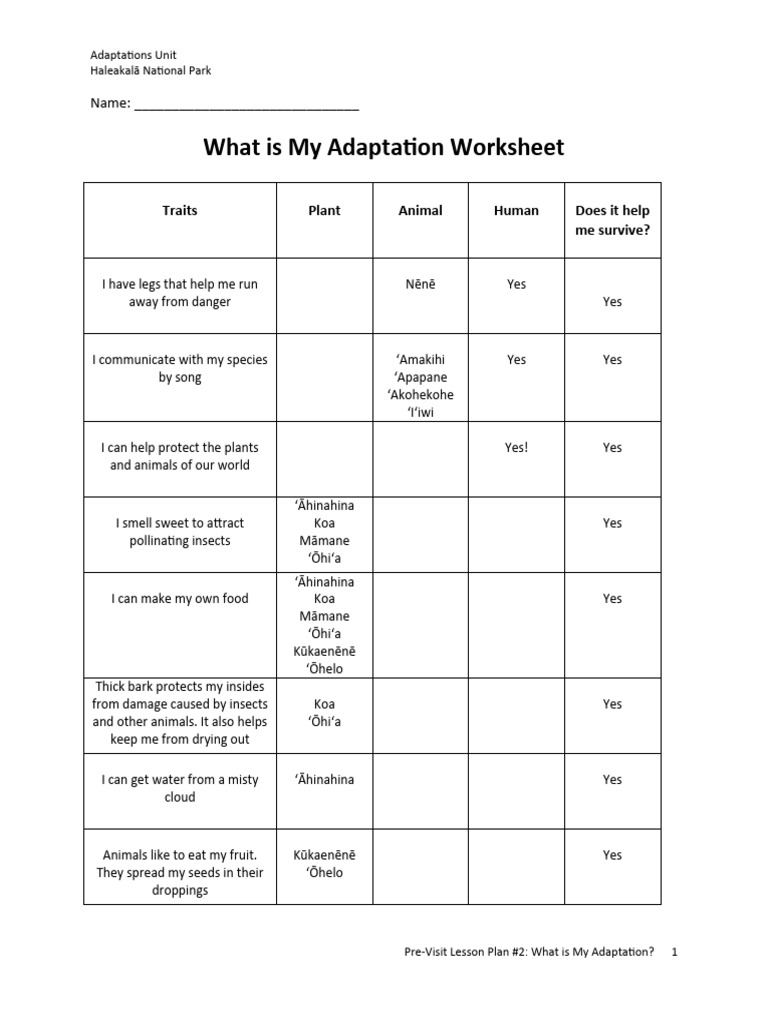 Teacher Answer Key What Is My Adaptation Worksheets | PDF | Adaptation ...