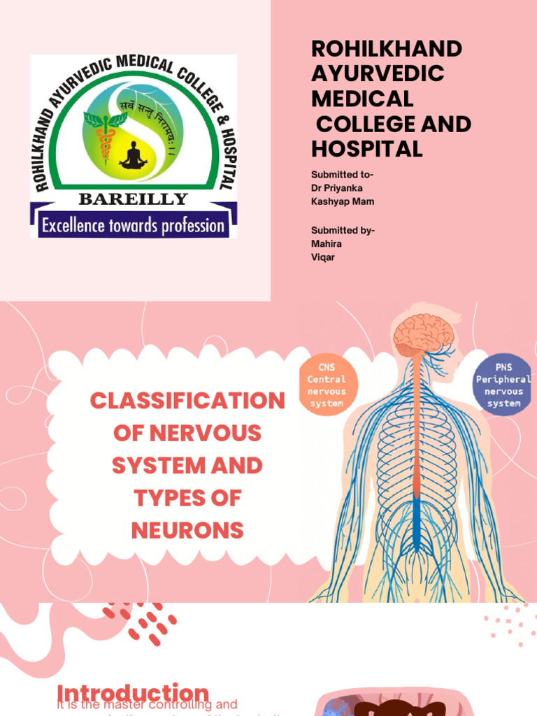 Classification of Nervous System | PDF | Autonomic Nervous System ...