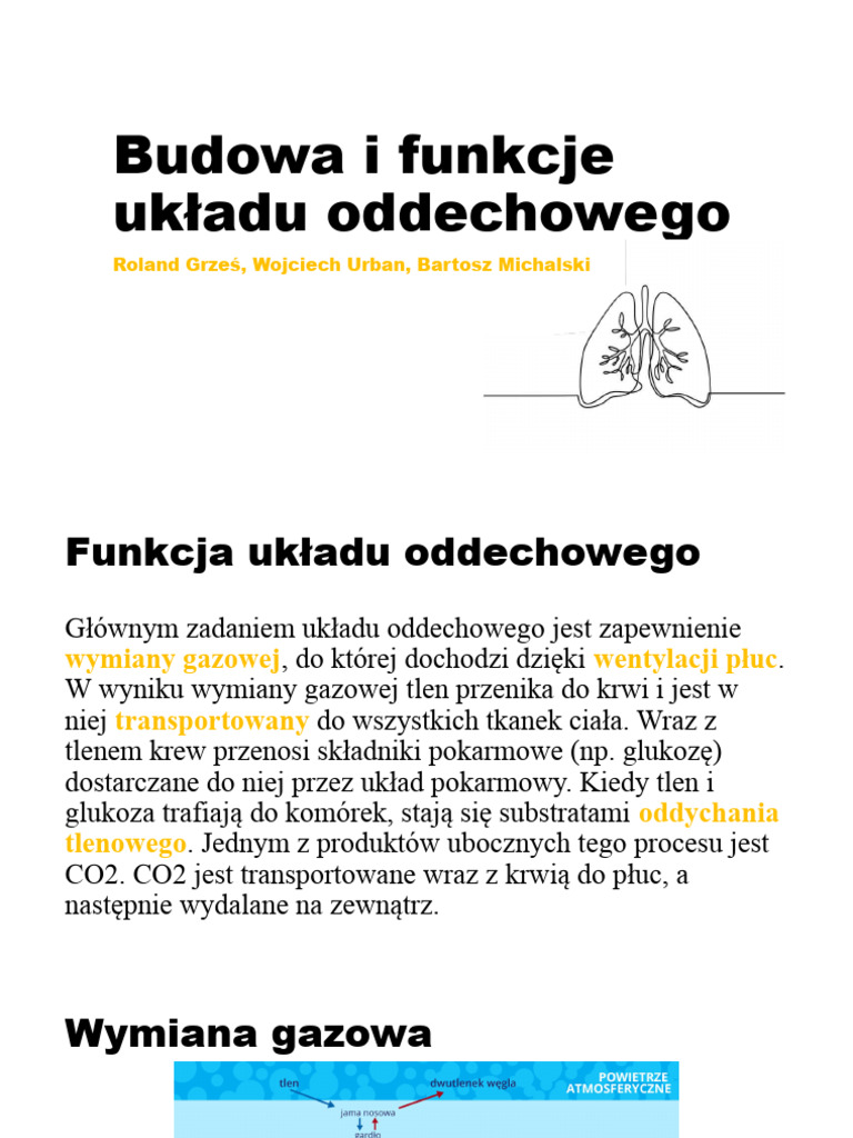 Budowa I Funkcje Układu Oddechowego | PDF