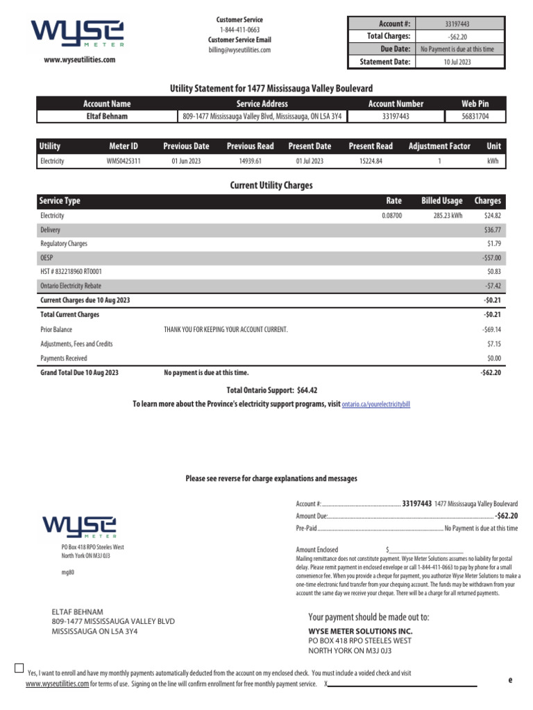 Wyse Utilities Statement Overview | PDF | Cheque | Fee