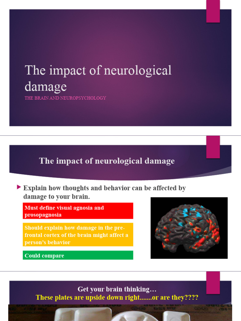 Impact of Neurological Damage | PDF | Behavioural Sciences | Mental ...