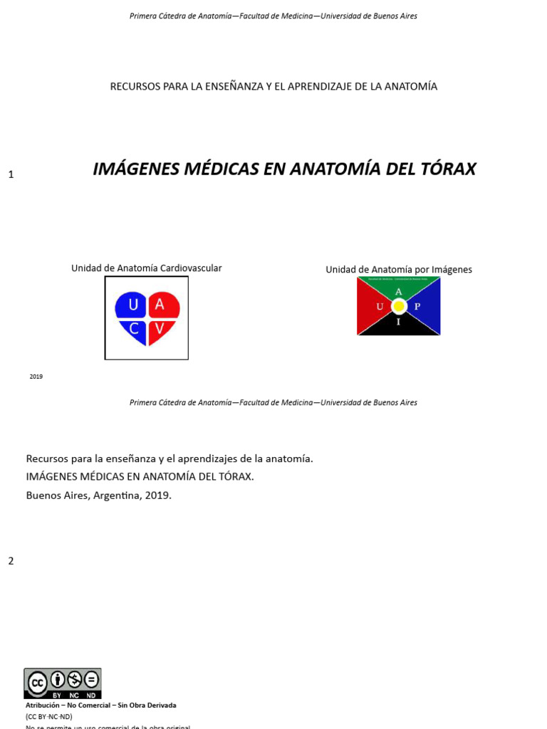 Cardioimágenes 2019 - UACV UAPI | PDF | Aorta | Pulmón
