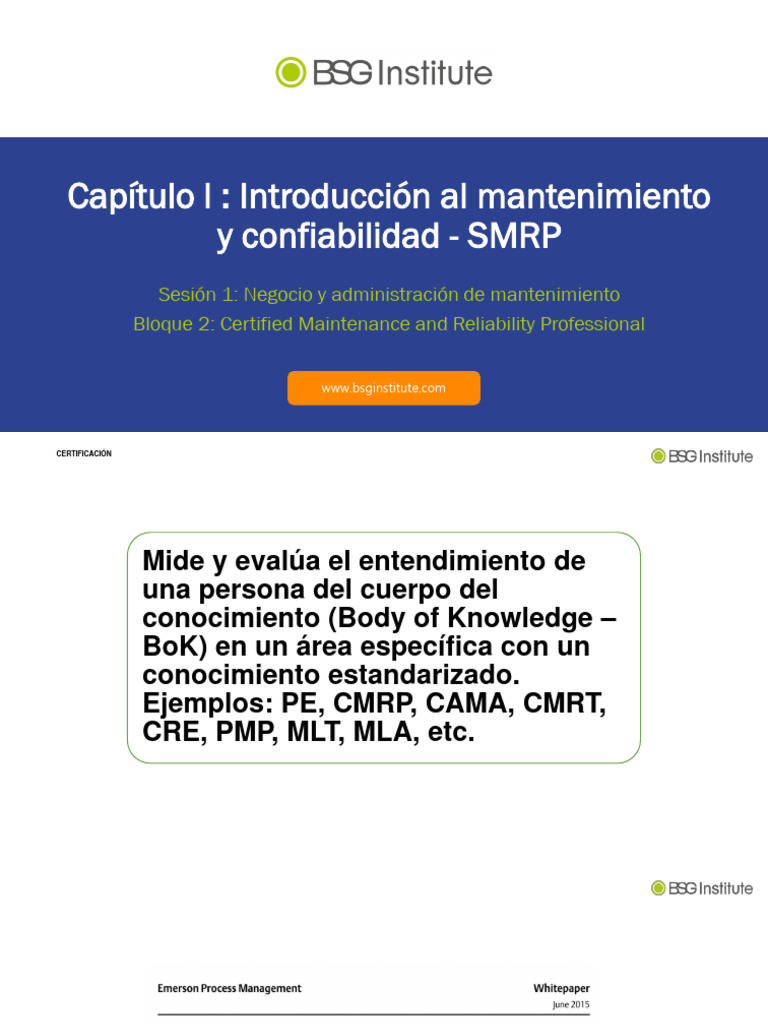 Capítulo L: Introducción Al Mantenimiento y Confiabilidad - SMRP | PDF | Traducciones
