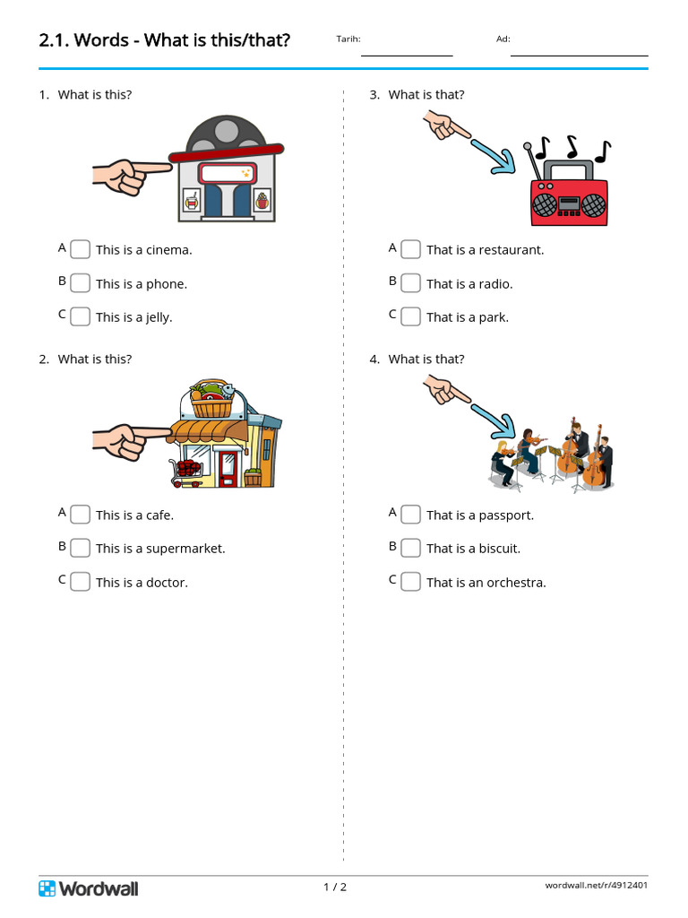 21 Words What Is This That Test | PDF