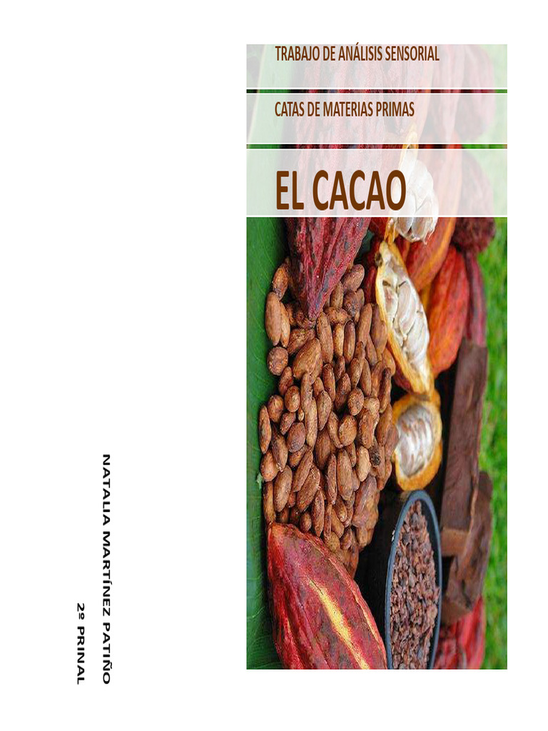 CATA_CACAO | PDF | Chocolate | Grano de cacao