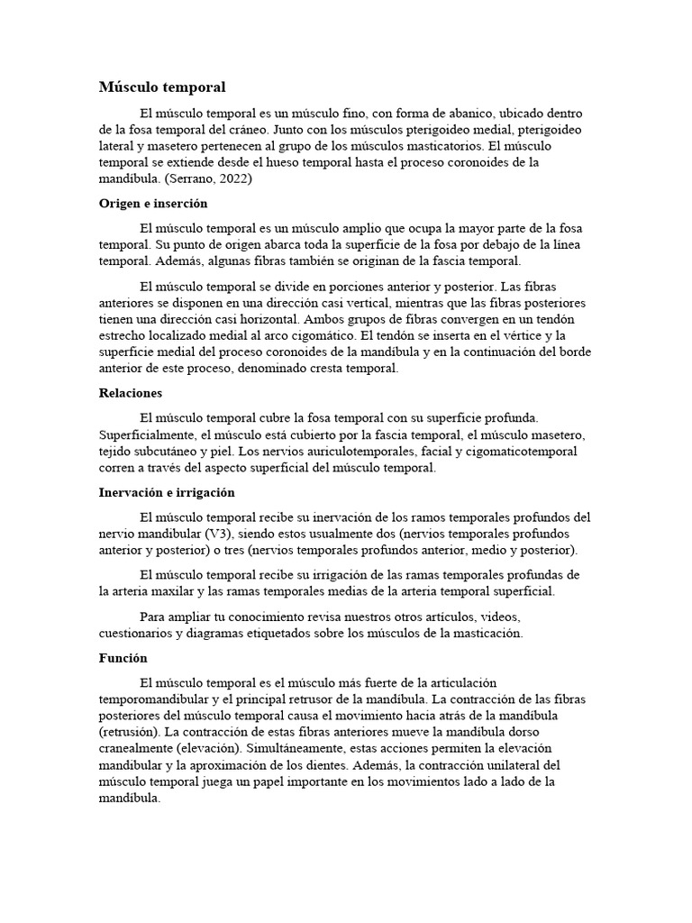 Músculo Temporal | PDF | Tejido suave | Sistema musculoesquelético