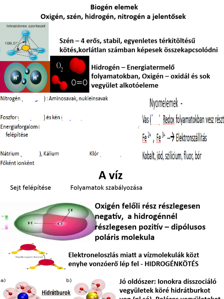 Biogén Elemek - HUN - 2020 | PDF