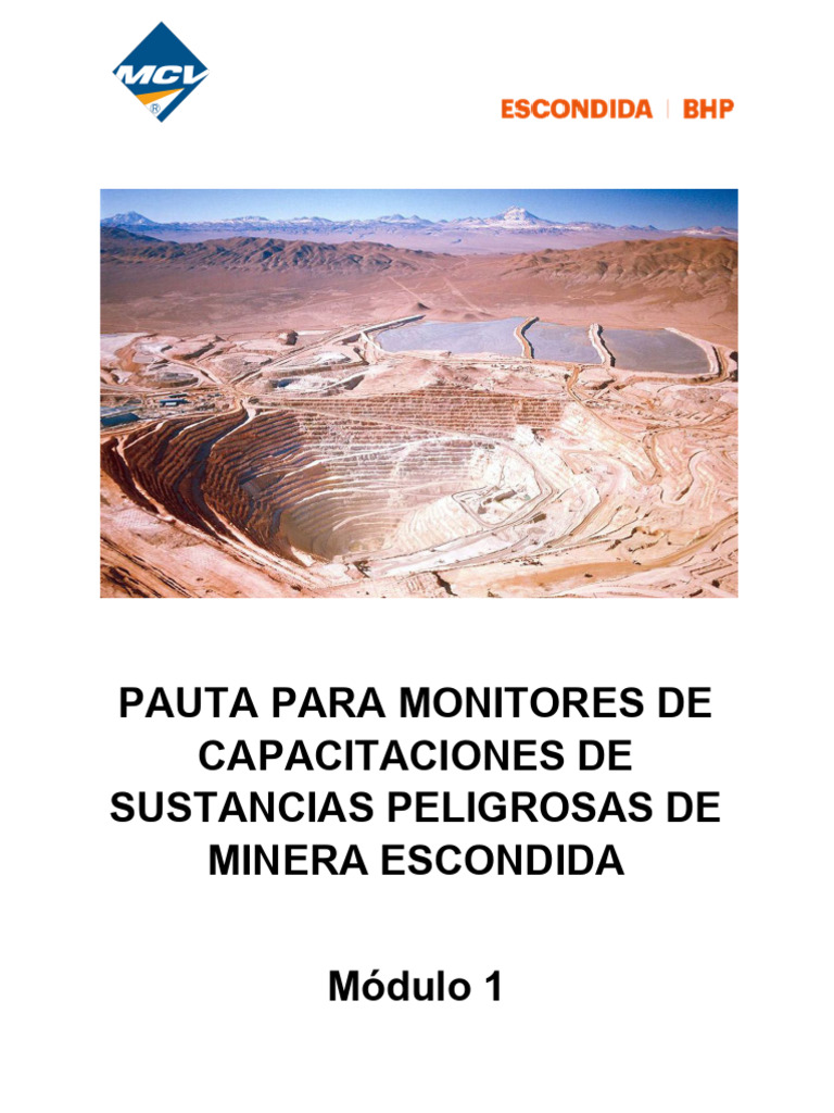 1.2.-DOCU-PRSE-980.44-01 PAUTA Propiedades y Clasificación de Sustancias Peligrosas | PDF ...