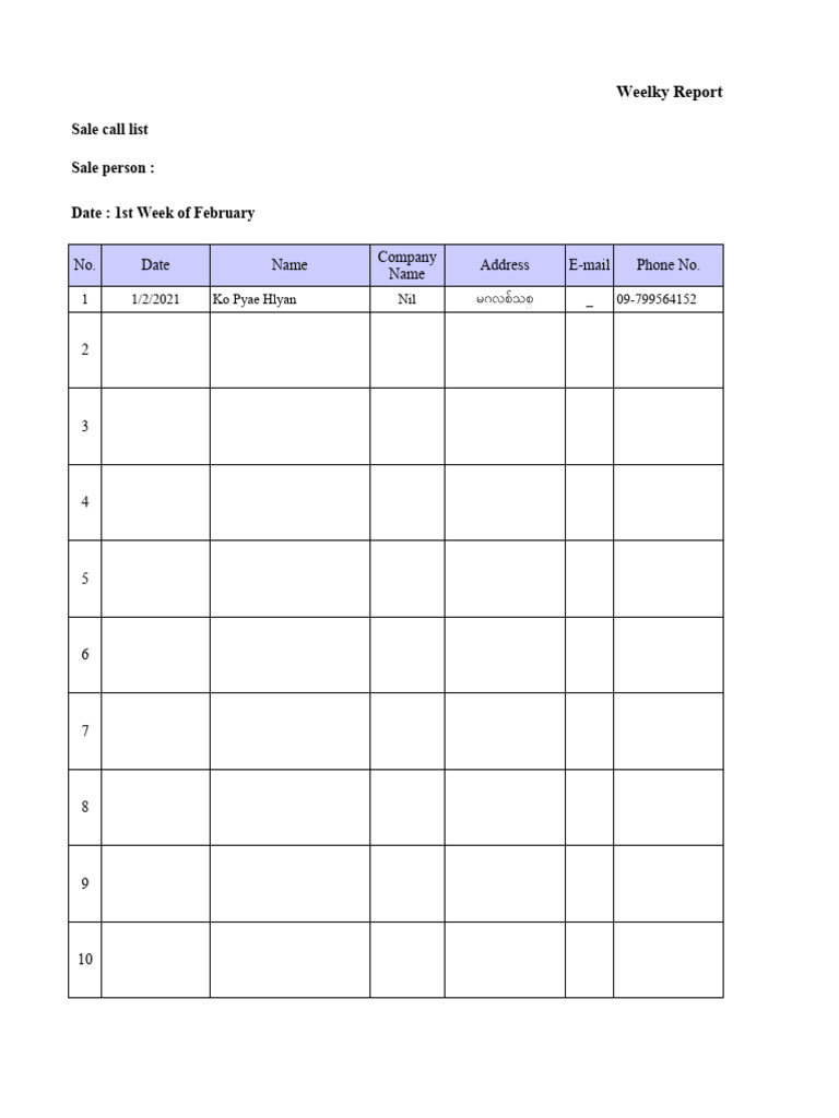 Weekly Report Format | PDF