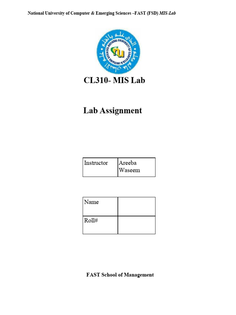 CL310-MIS Lab: Instructor Areeba Waseem | Download Free PDF | Computer Science | Information ...