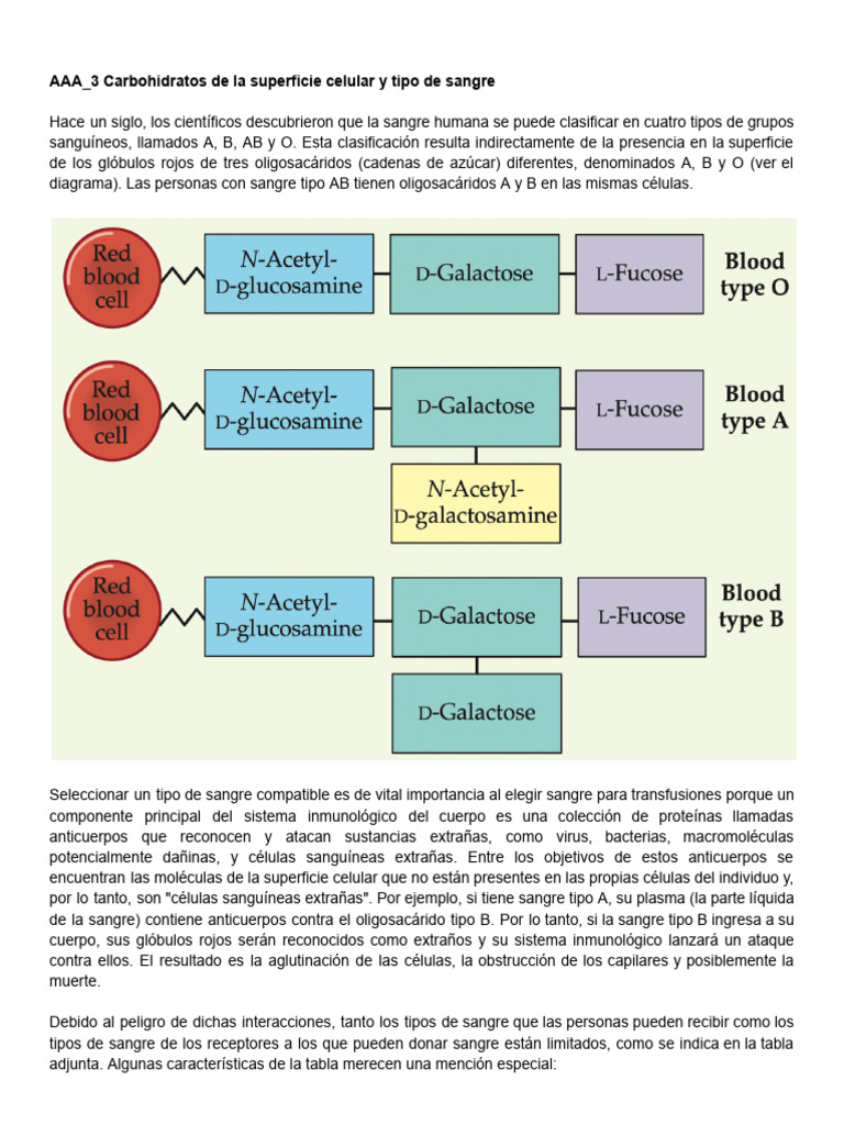 Aaa 3 QGM 202320 | PDF | Tipo de sangre | Sangre
