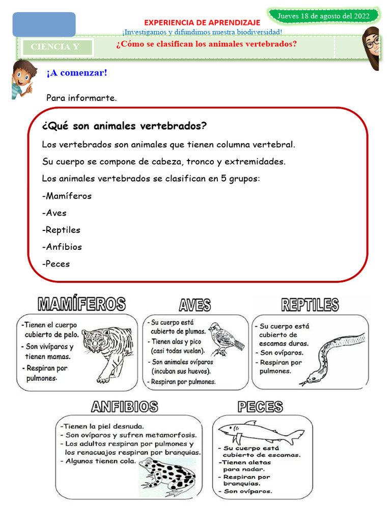 D4 A1 FICHA ¿Cómo Se Clasifican Los Animales Vertebrados | PDF | Zoología