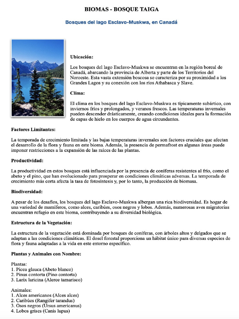 Bosques Taiga Biomas Hoja Informativa | PDF