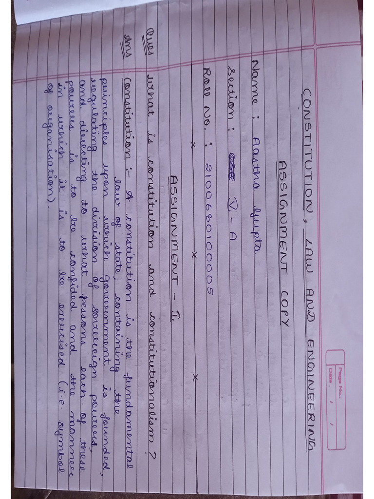 Constitution Assignment 1 | PDF