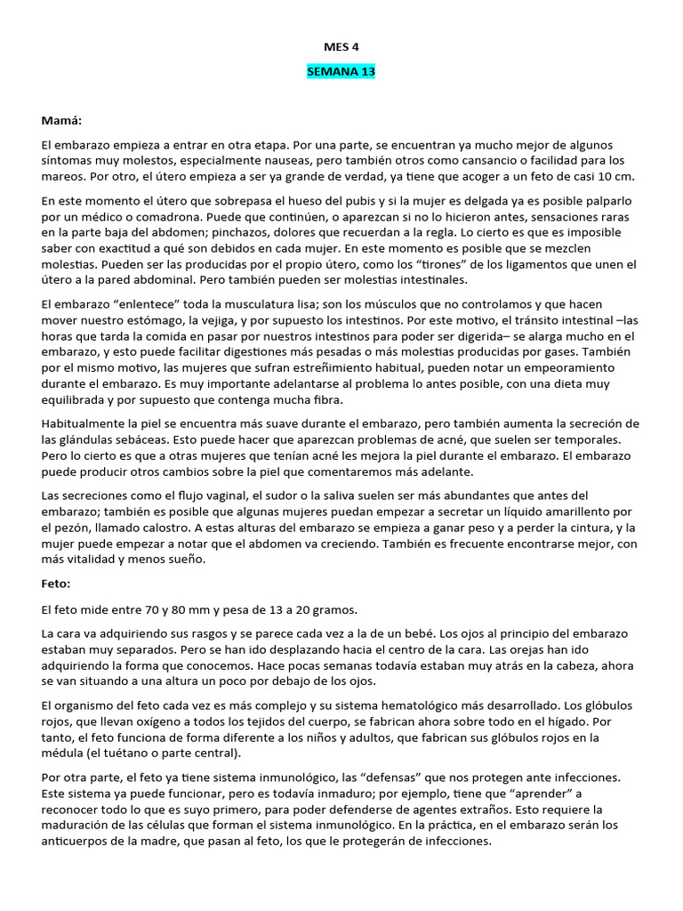 Segundo Trimestre | PDF | El embarazo | Feto