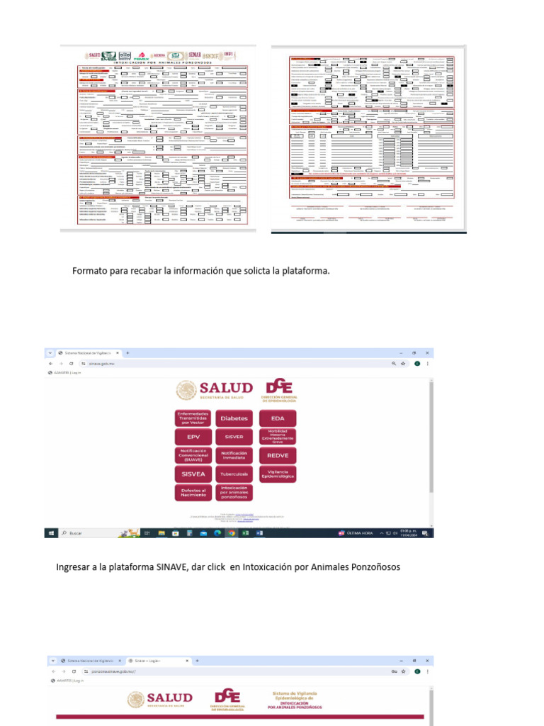 Presentación Acceso A Plataforma SINAVE | PDF