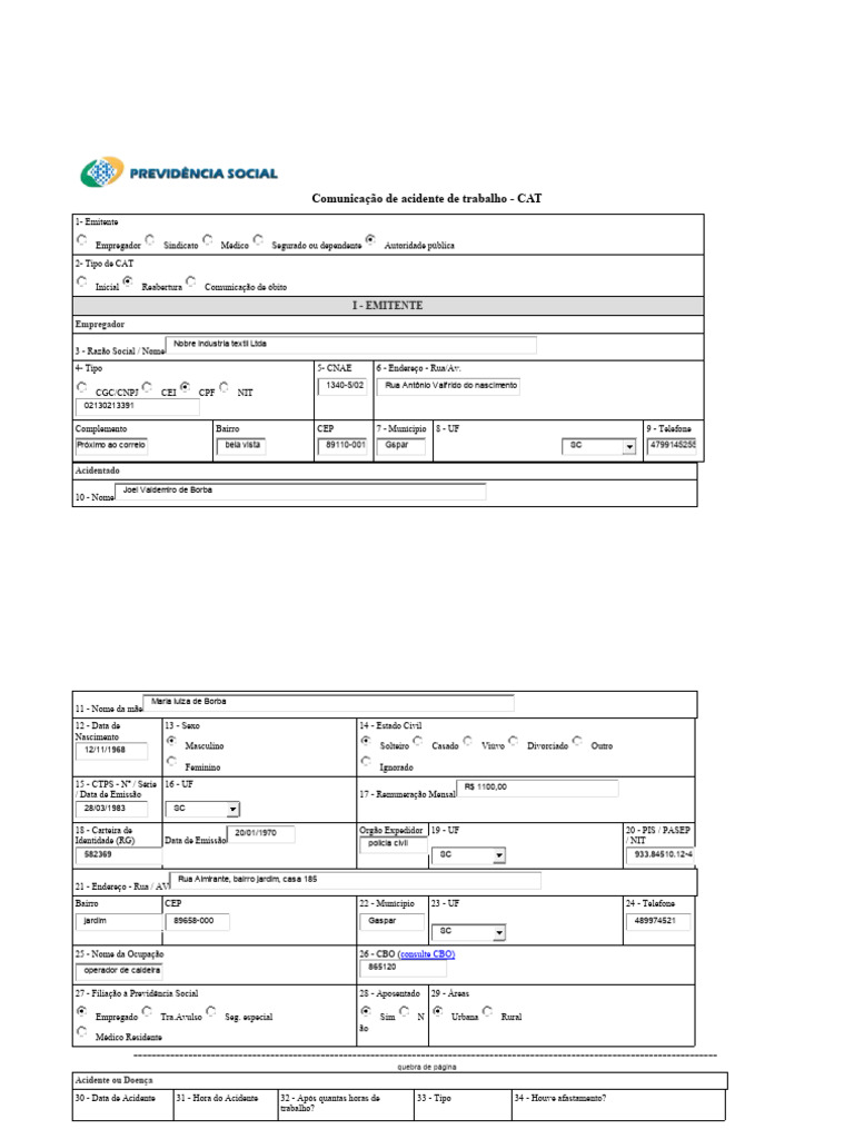 Anexo 1 - Formulário CAT Resolvido | PDF