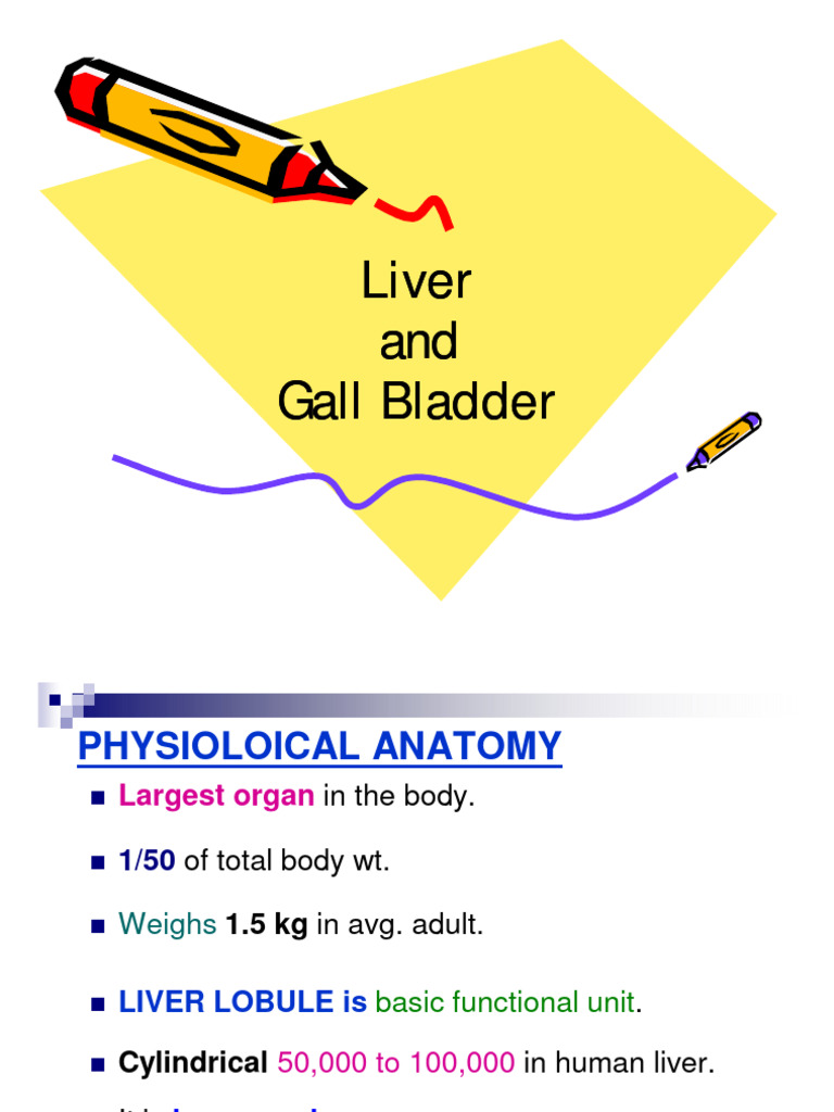 Liver-Gall Bladder Functions (Compatibility Mode) | PDF | Liver | Bile